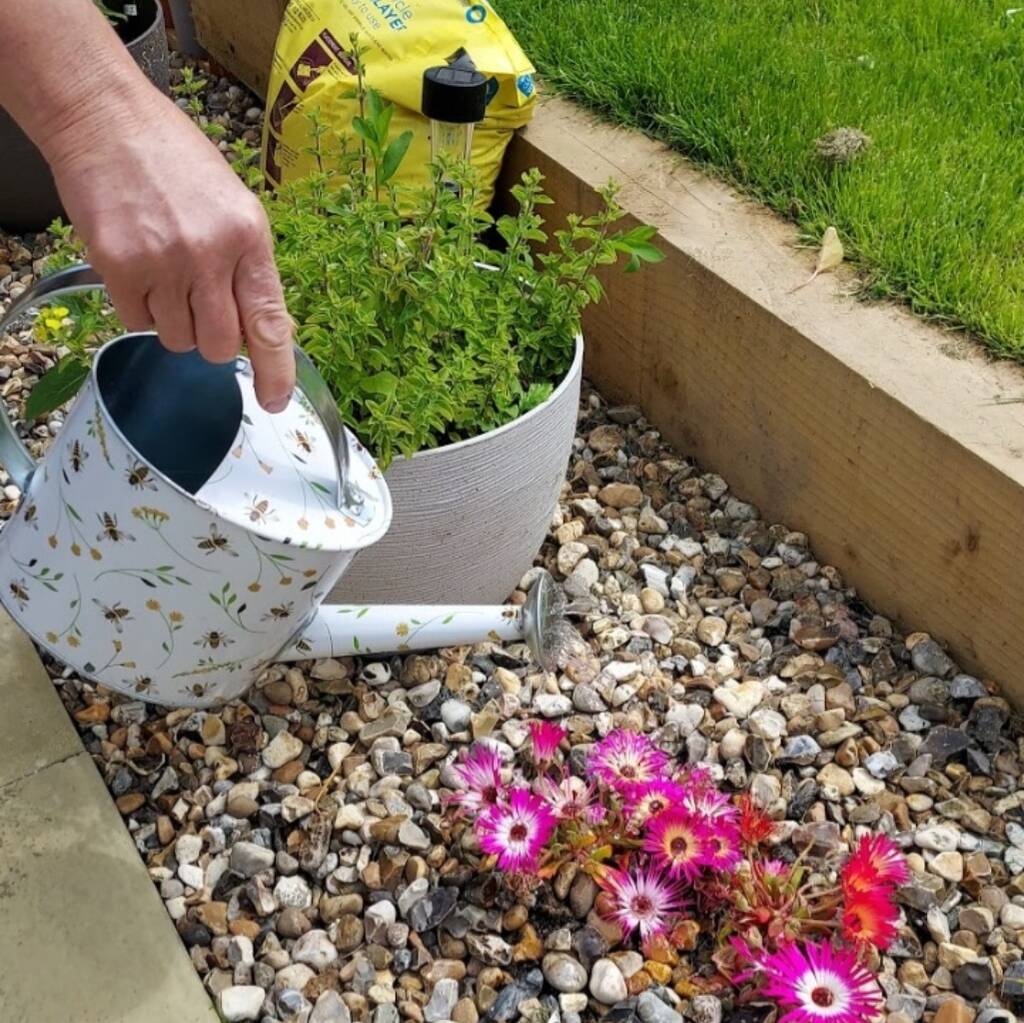 Fallen Fruits - Bee Watering Can – Baydon Grange Gifts